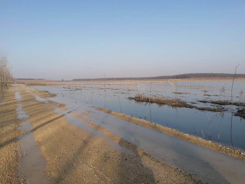 The Outflow of the Sava River Stock Image - Image of outflow, sava ...