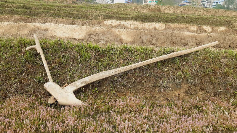 Outils De Culture Halo Nepali Image stock - Image du outils, herbe ...