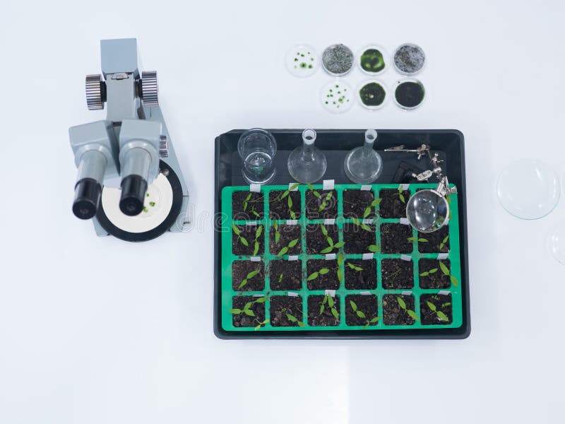 Outils De Laboratoire De Chimie Image stock - Image du additifs, chimie ...