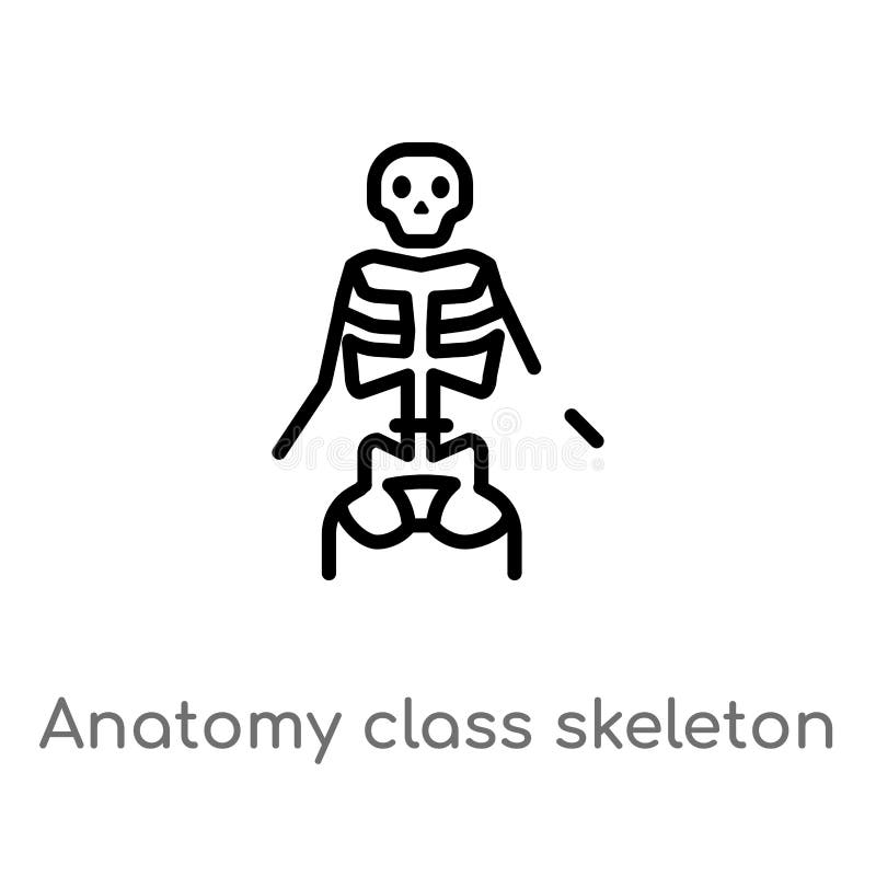 Outline Anatomy Class Skeleton Vector Icon. Isolated Black Simple Line ...