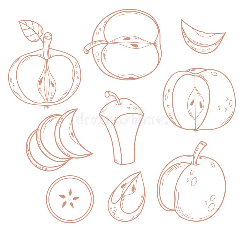 Outline Apples Collection. Fruit Cut, Slice, Half and Piece. Linear ...