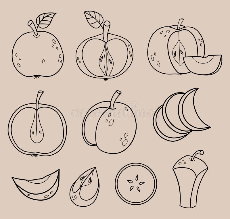 Outline Apples Collection. Linear Hand Drawings. Fruit with Leaves, Cut ...