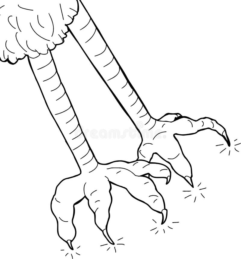 Bird Claw Logo Download Bird, Claw, Nature. Royalty Free Vector