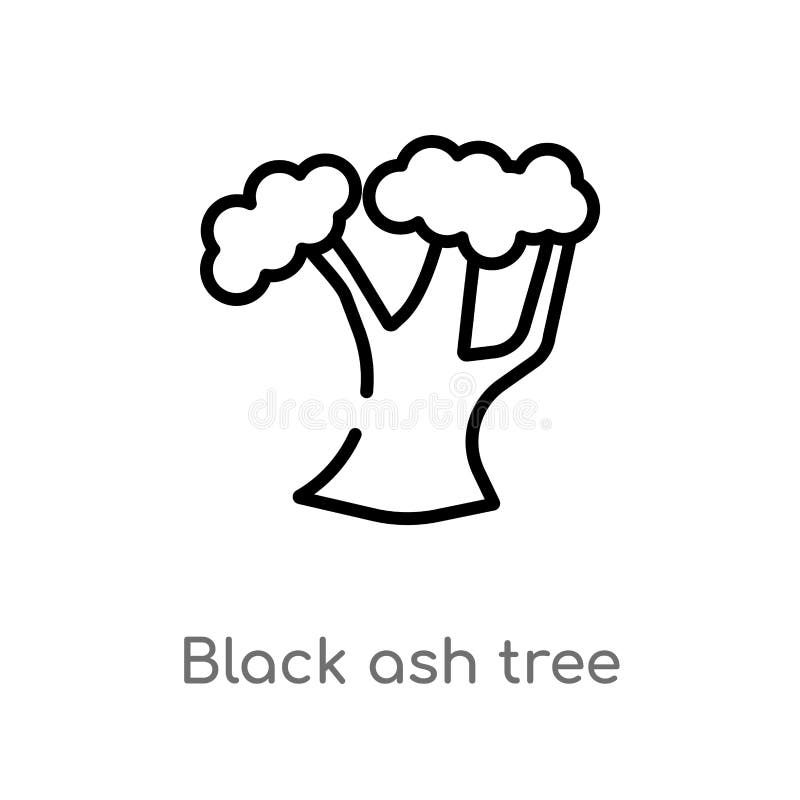 Outline Black Ash Tree Vector Icon. Isolated Black Simple Line Element ...