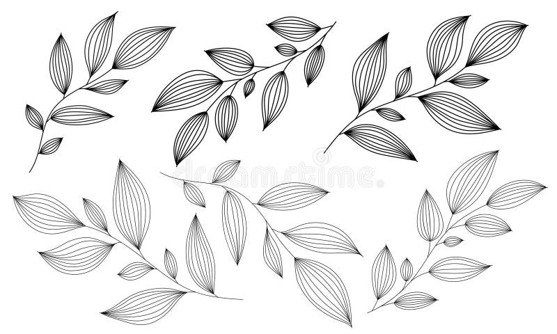 Outline Branches with Leaves. Contour Thin Leaf Stock Vector ...