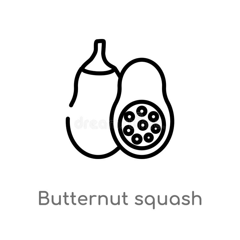 Outline Butternut Squash Vector Icon. Isolated Black Simple Line ...