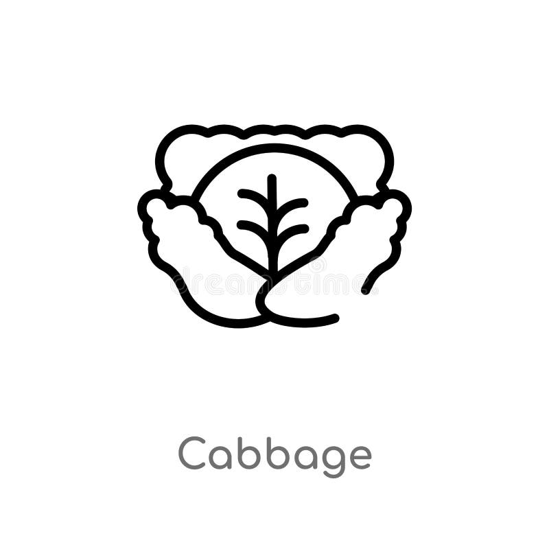 Outline Cabbage Vector Icon. Isolated Black Simple Line Element ...