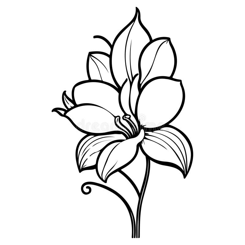 Outline Doodle Orchid Flower Leaf Illustration Sketch Draw Stock Vector ...
