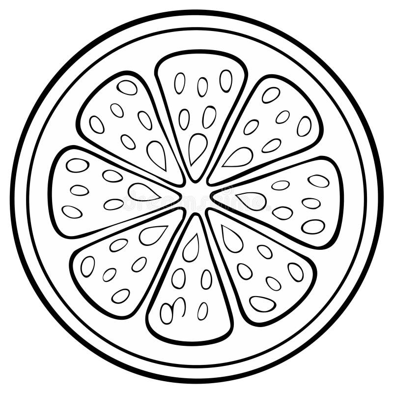 Contour Orange Citrus Fruit Illustration Stock Illustrations – 3,031 ...