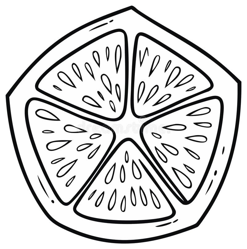 Outline Drawing of a Fresh Citrus Fruit Slice with Inner Pulp Design ...