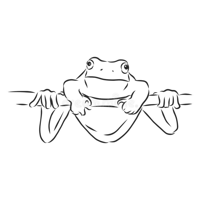 Frog Totem Symbol