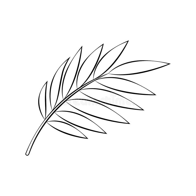 Outline Drawing of Palm Branch with Leaves Stock Vector - Illustration ...