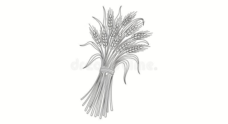 Outline Drawing of a Sheaf of Wheat Symbolizing Harvest Agriculture and ...