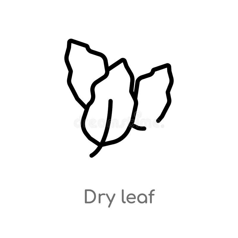 Outline Dry Leaf Vector Icon Isolated Black Simple Line Element Illustration From Nature