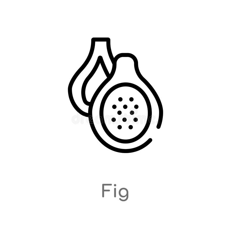 Outline Fig Vector Icon. Isolated Black Simple Line Element ...