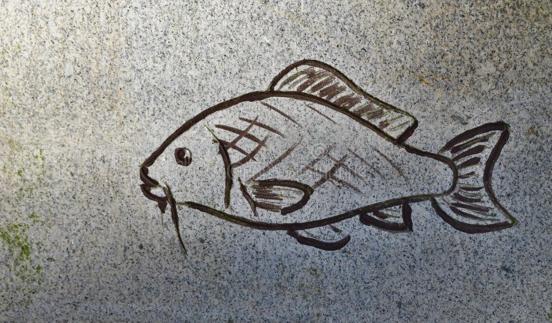 The Outline of a Fish Carved in Stone Stock Image - Image of color ...