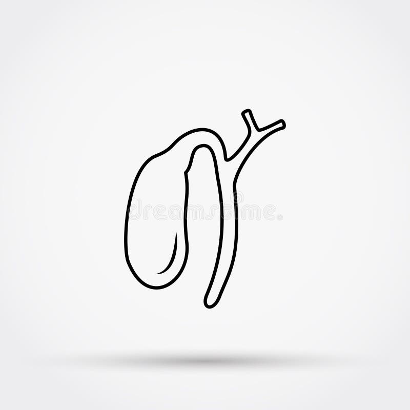 Outline Gall Bladder Vector Icon. Stock Vector - Illustration of care ...