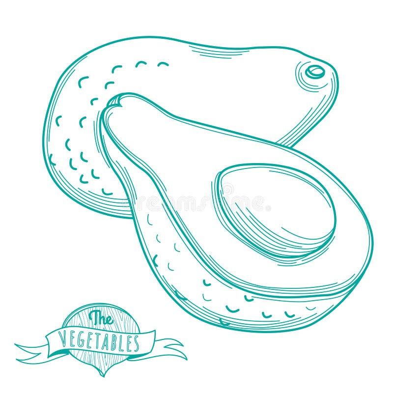 Avocado Outline Stock Illustrations – 10,569 Avocado Outline Stock ...