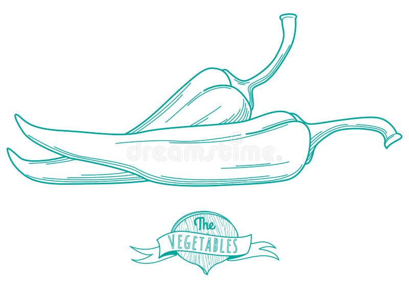 Chilli Line Icon Stock Illustrations – 2,774 Chilli Line Icon Stock ...