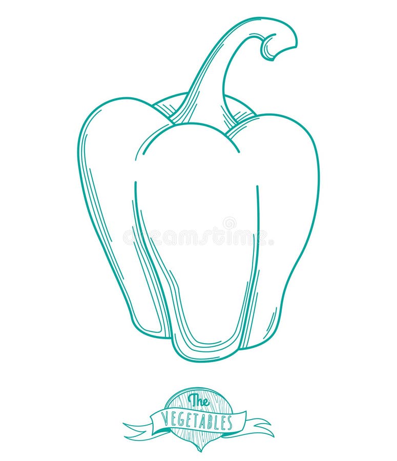 Outline Hand Drawn Sketch of Paprica (flat Style, Thin Line) Stock ... Outline Hand Drawn Sketch of Paprica (flat Style, Thin Line) Stock ...