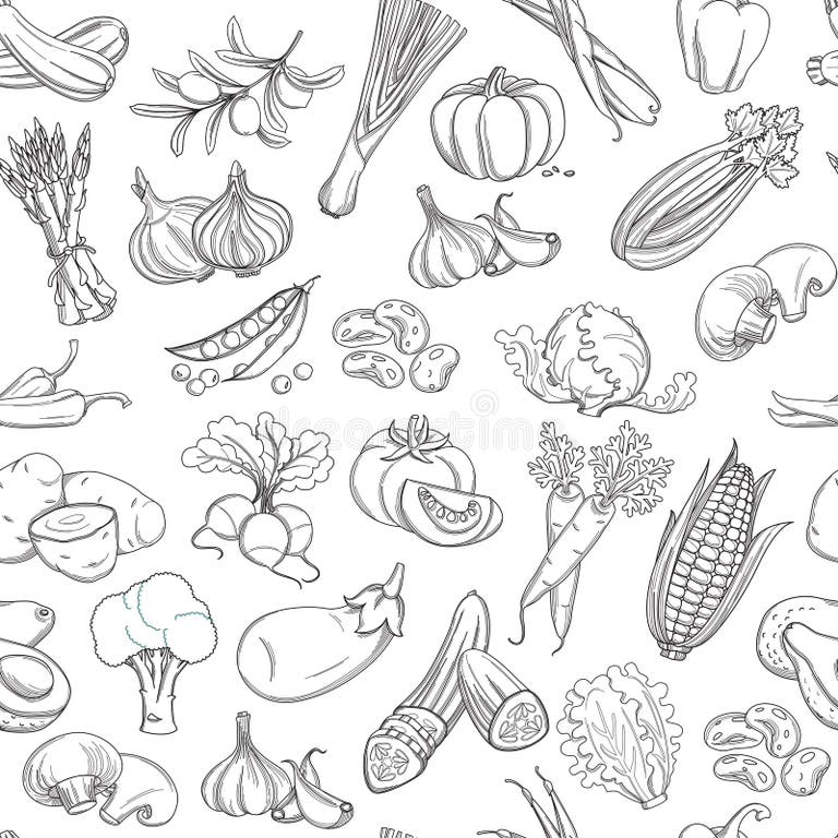 Vegetable Line Drawing Stock Illustrations – 49,576 Vegetable Line ...