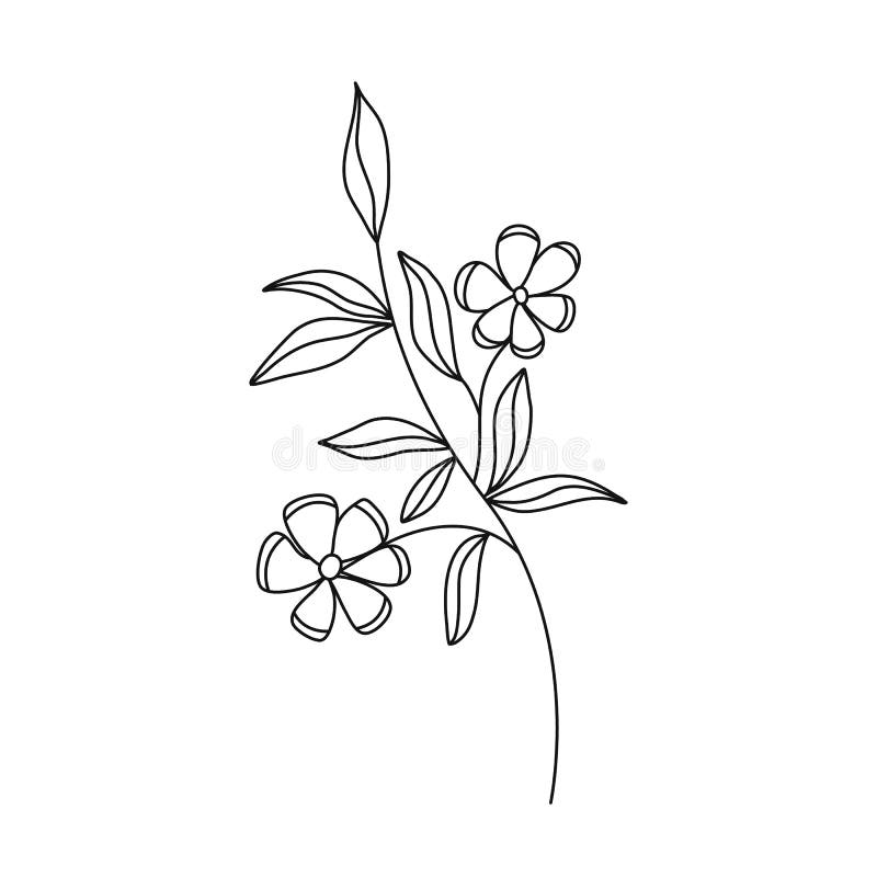 Outline Illustration of Botanical Branch Stock Vector - Illustration of ...