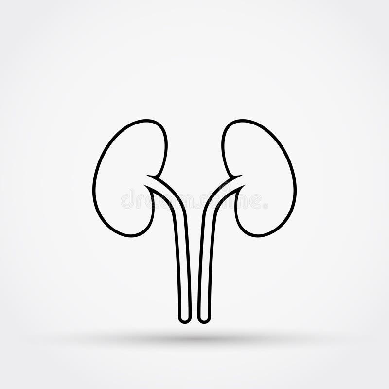 Outline Kidneys Vector Icon. Stock Vector - Illustration of medical ...