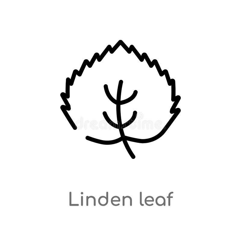 Linden Leaf Logo Stock Illustrations – 505 Linden Leaf Logo Stock ...