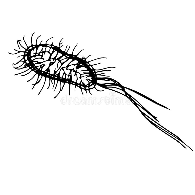 Outline Microbe Vector Icon. Isolated Black Simple Line Element ...