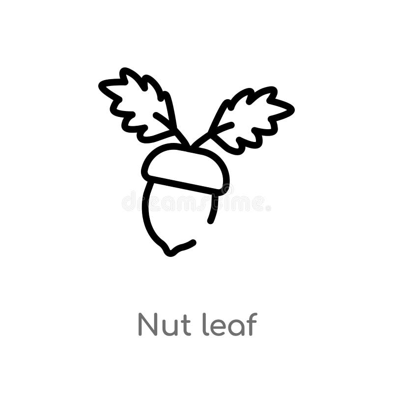 Outline Nut Leaf Vector Icon. Isolated Black Simple Line Element ...