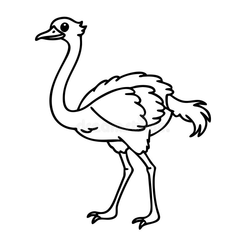 Outline Ostrich Vector Illustration for Coloring Books and Design ...