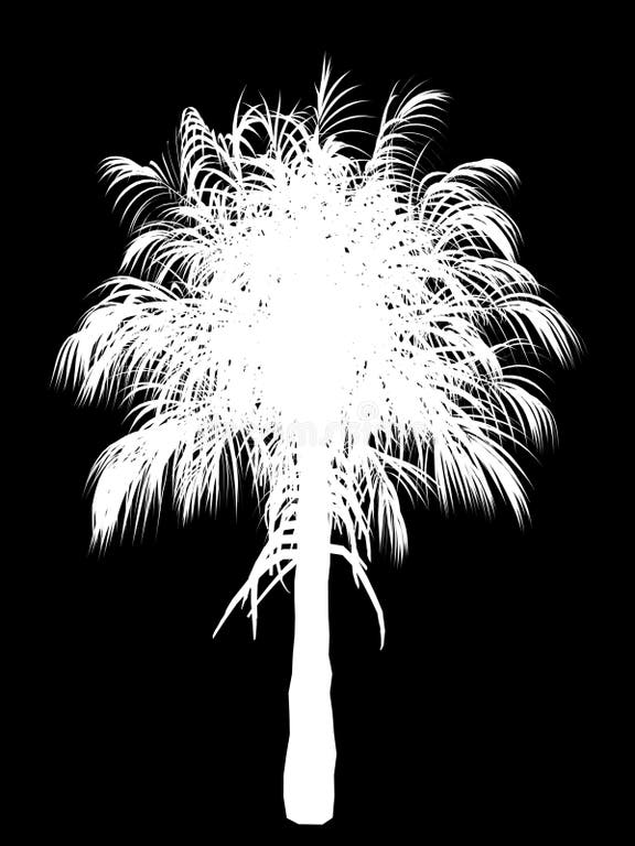 Outline of palm tree stock illustration. Illustration of leaf - 10852642