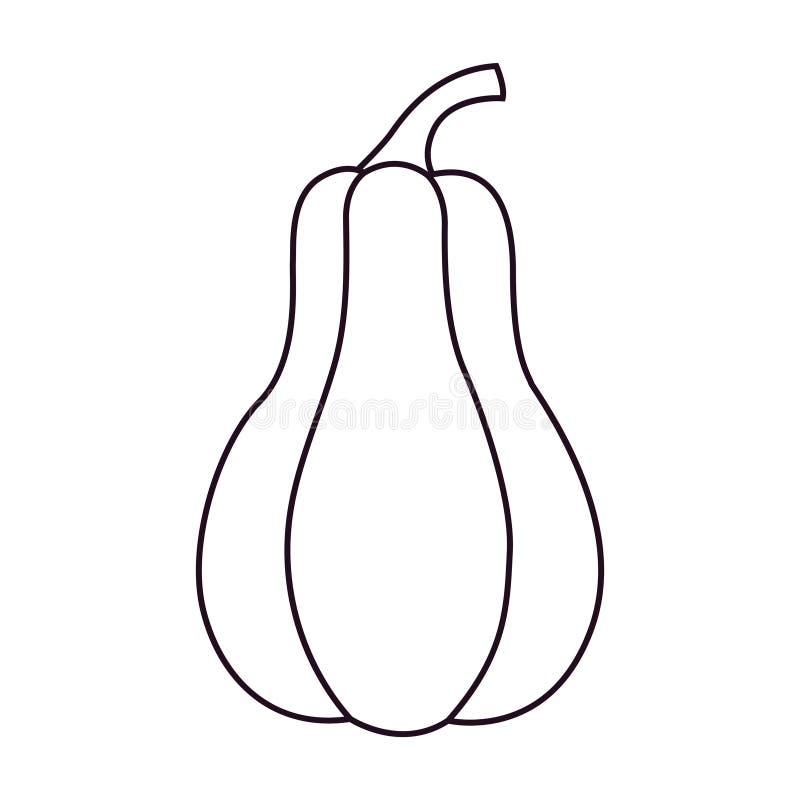 Outline Pumpkin. Autumn Pumpkin Element Stock Vector - Illustration of ...