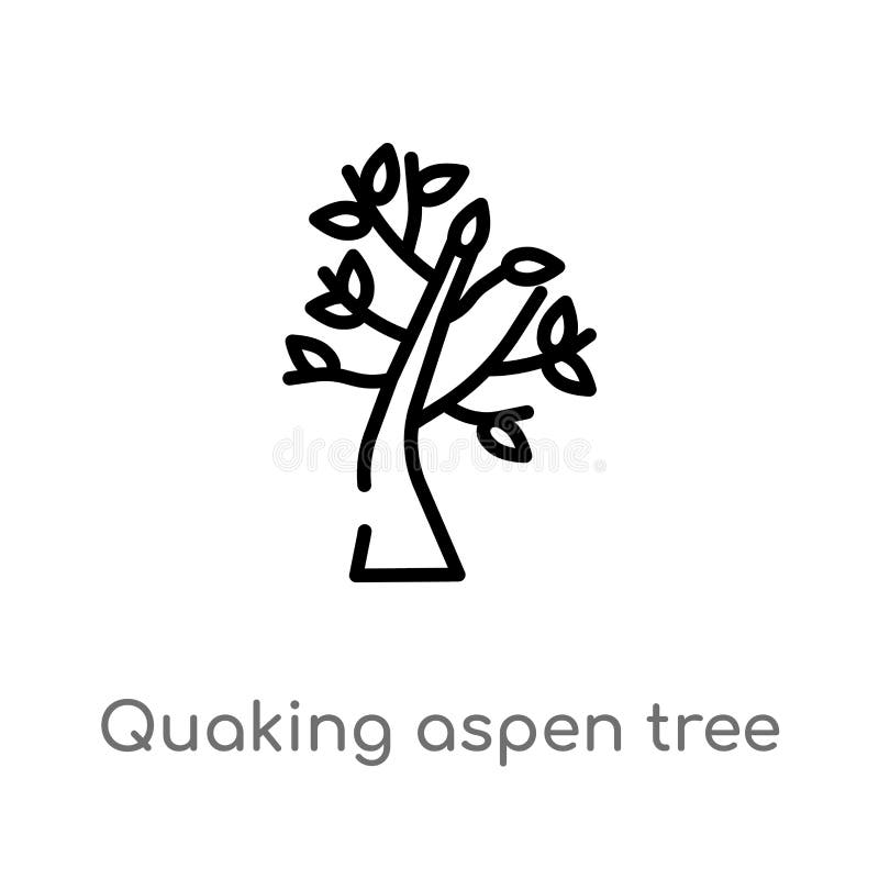 Aspen Illustration Tree Stock Illustrations – 8,175 Aspen Illustration ...