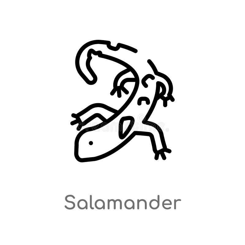 Outline Salamander Vector Icon. Isolated Black Simple Line Element ...