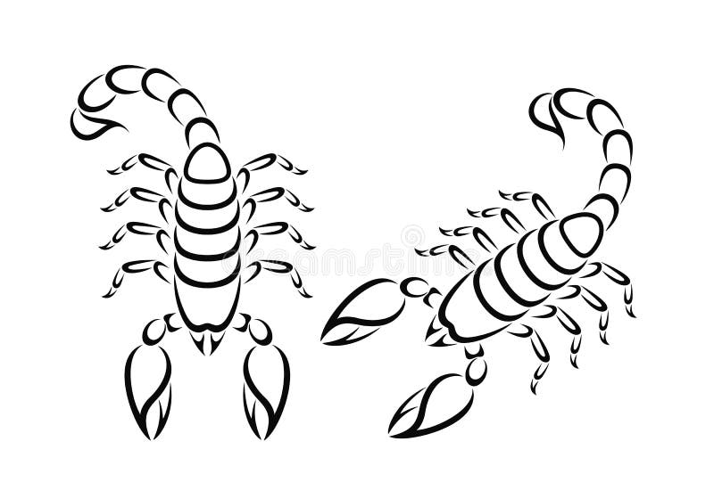 Scorpion Outline. Isolated Scorpion on White Background Stock Vector ...