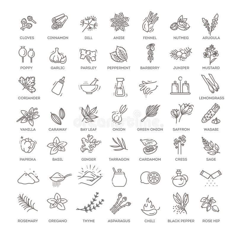 Outline Set of Condiment Vector Icons Stock Vector - Illustration of ...