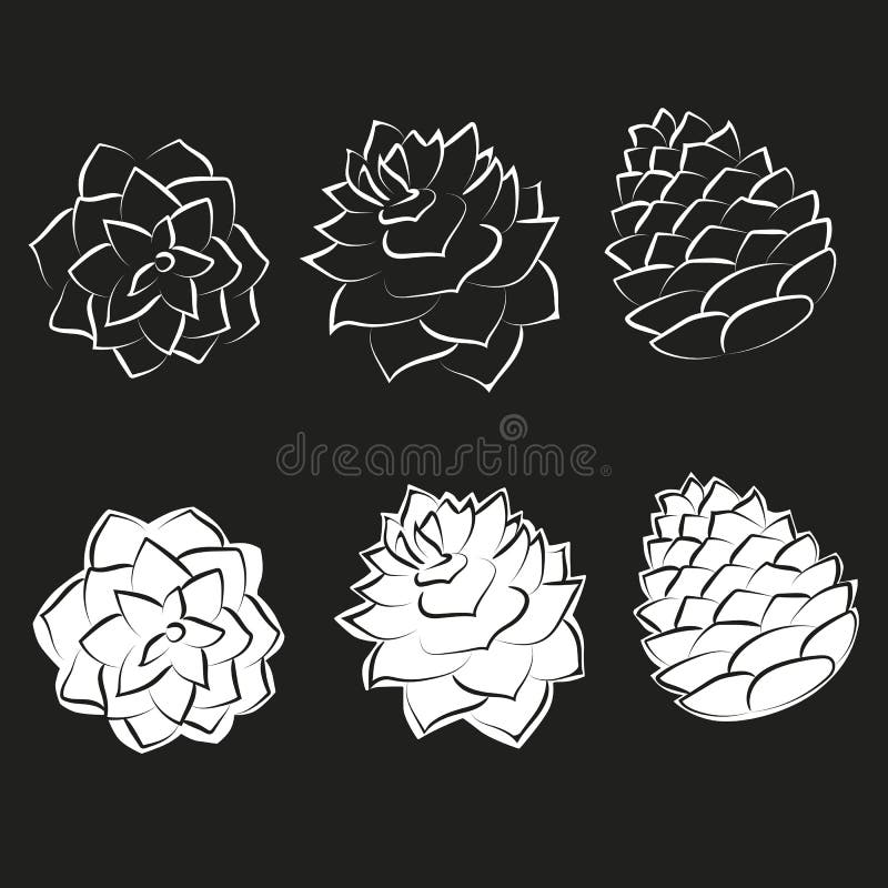 Outline Set Drawing of Cone. Vector Illustration Stock Vector ...