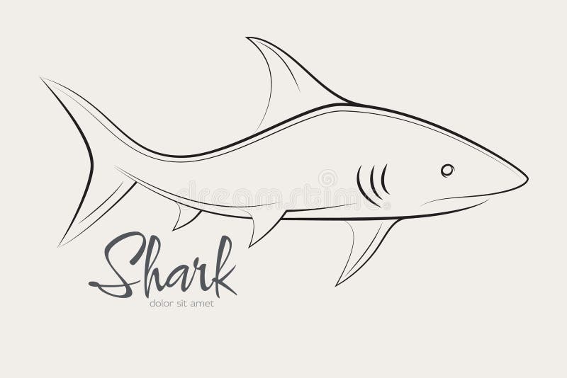 Outline Shark Side View. Shark Icon Vector Illustration Stock Vector ...