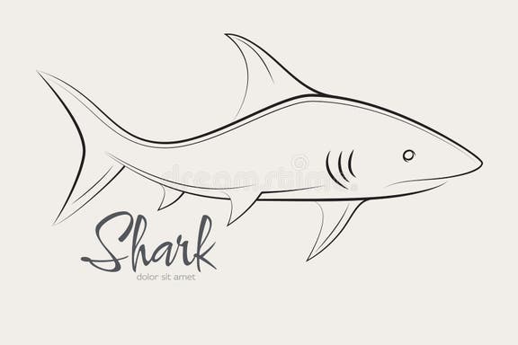 Outline Shark Side View. Shark Icon Vector Illustration Stock Vector ...