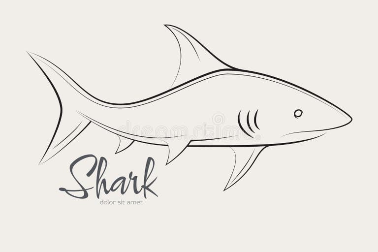 Outline Shark Side View. Shark Icon Vector Illustration Stock Vector ...
