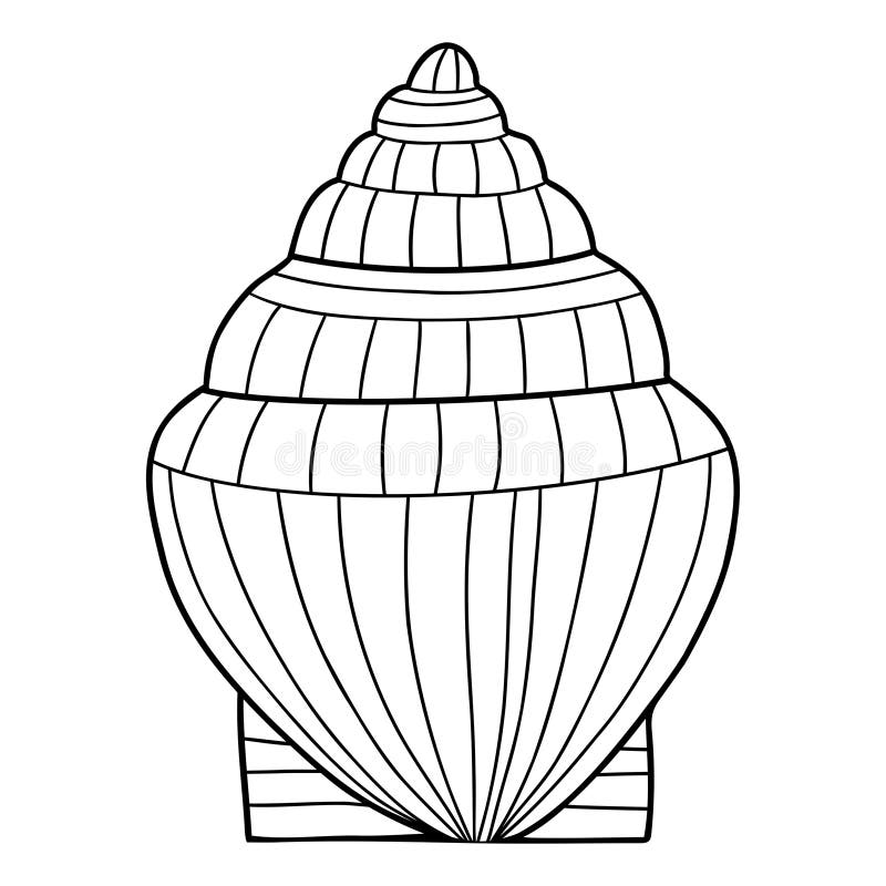 Conch (5) stock vector. Illustration of ocean, outdoor - 242722695