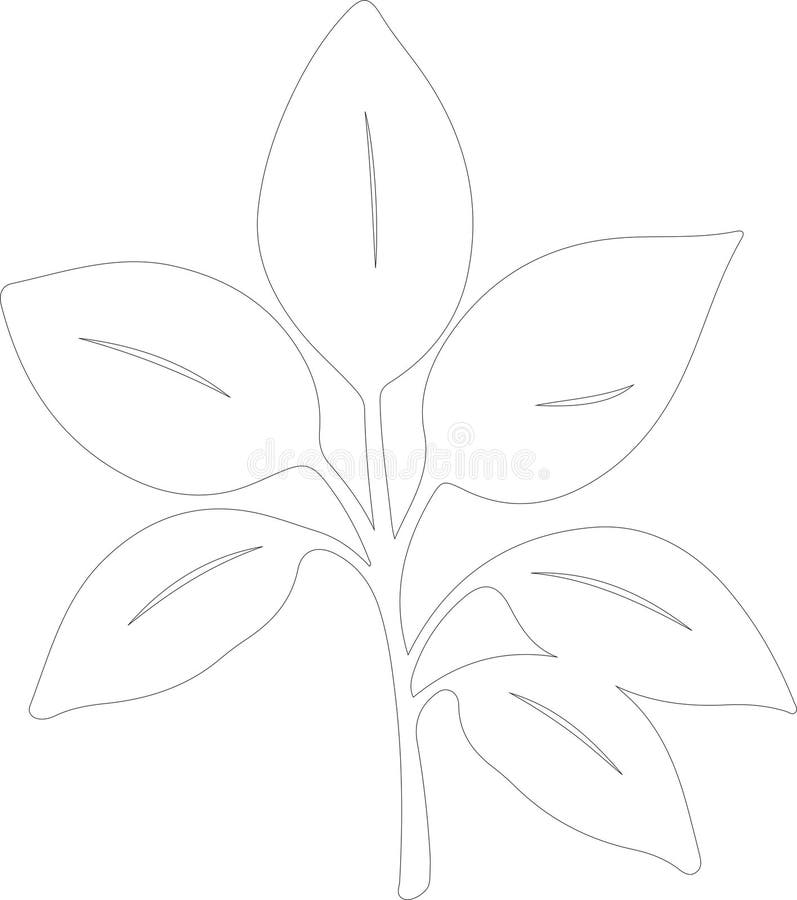 Basil Outline Silhouette Generative Ai Stock Vector - Illustration of ...