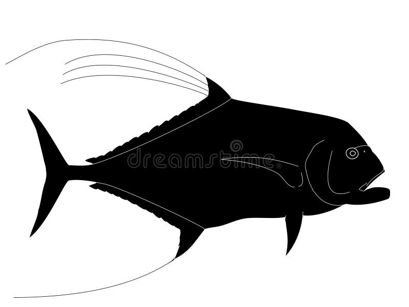 Pompano Florida Fish Vector Illustration Stock Vector - Illustration of ...