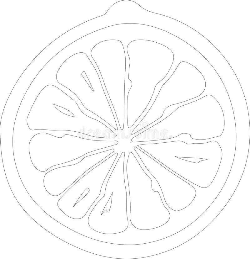 Grapefruit Outline Silhouette Generative Ai Stock Illustration ...