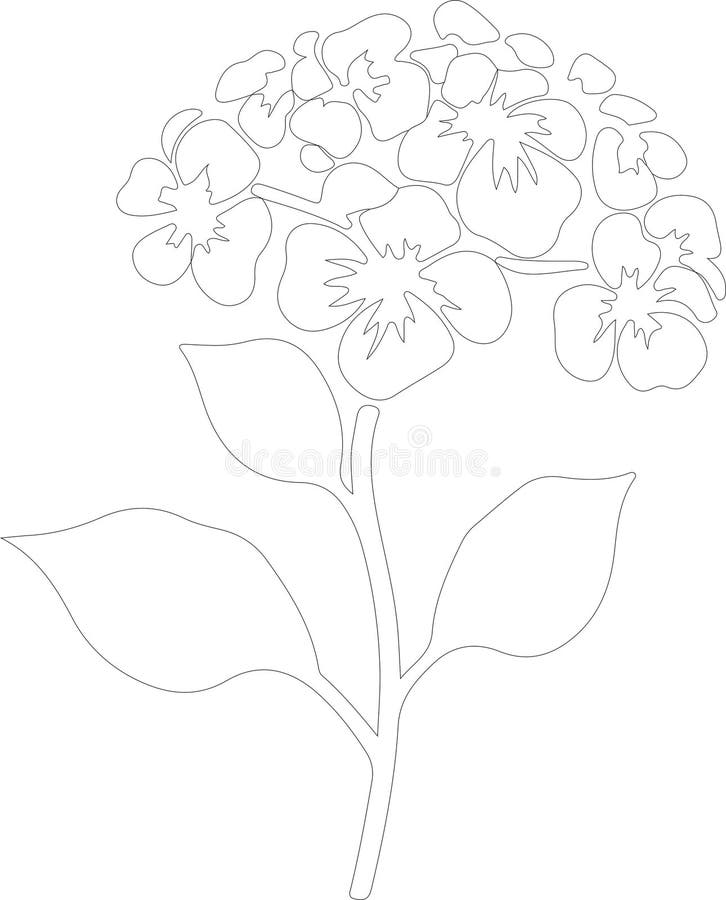 Hydrangea Outline Silhouette Generative Ai Stock Vector - Illustration ...