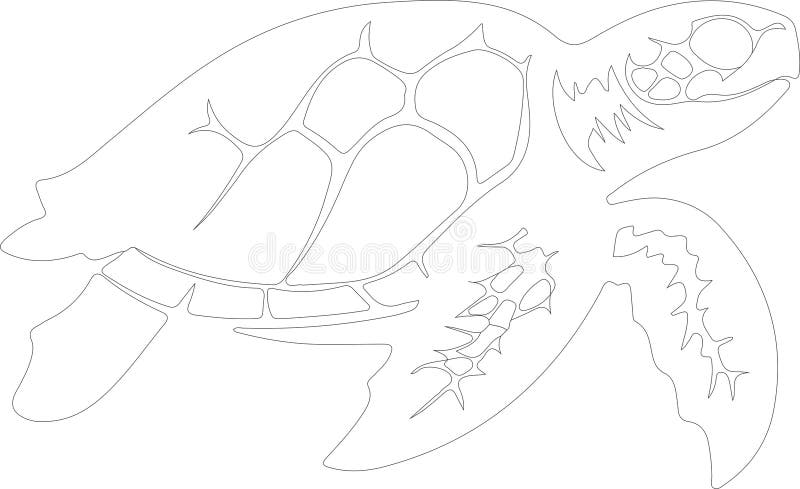 Loggerhead Stock Illustrations – 1,022 Loggerhead Stock Illustrations ...