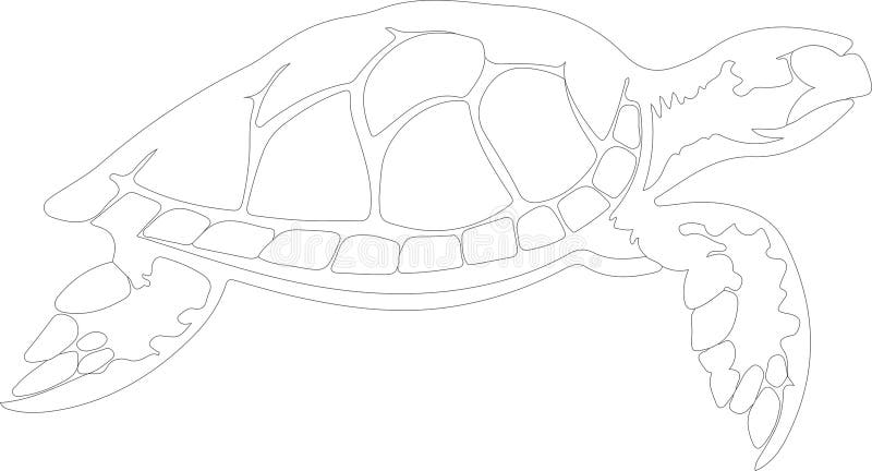 Loggerhead Turtle Outline Silhouette Generative Ai Stock Vector ...