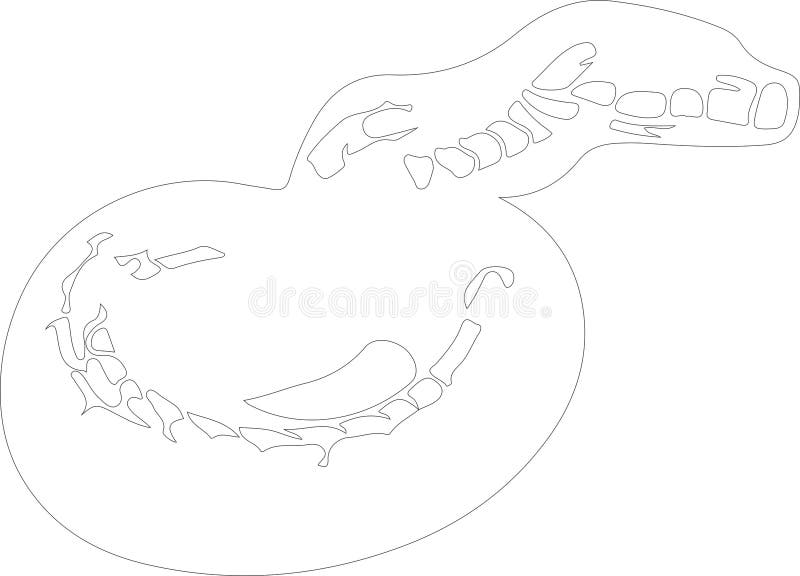 Python Clipart Stock Illustrations – 1,128 Python Clipart Stock ...