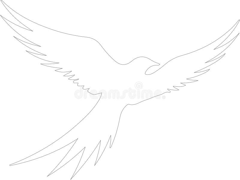 Tern Outline Stock Illustrations – 249 Tern Outline Stock Illustrations ...